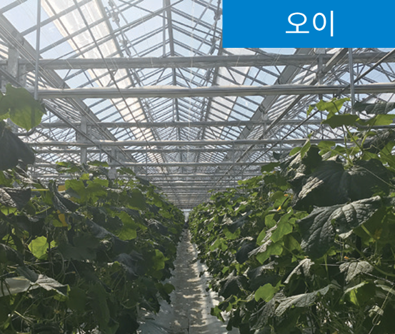 F-CLEAN®GR 시리즈 | AGC 그린테크 주식회사